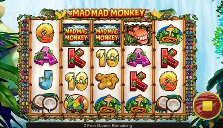 Mad Mad Monkey slot | 888 Casino
